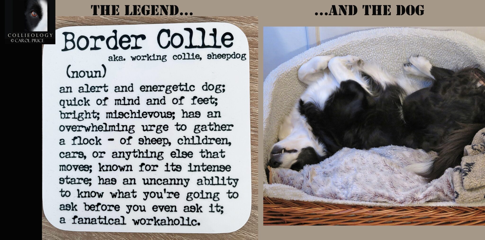 Bits & Pieces - We Scour the Web, so You Don't Have To!