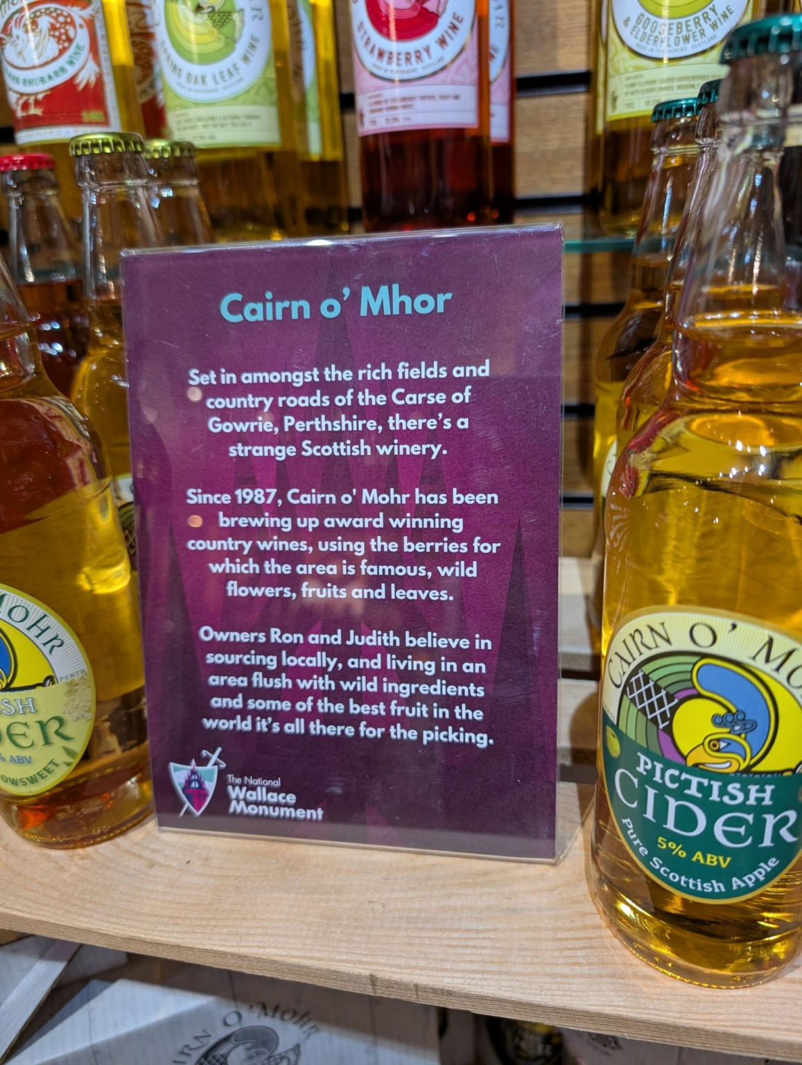 Bits & Pieces - We Scour the Web, so You Don't Have To!